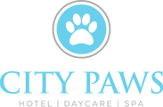City Paws Pet Club - Calhoun Commons - Calhoun Commons - Play Area 1