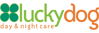 Luckydog Day & Night Care - Puppy Playground